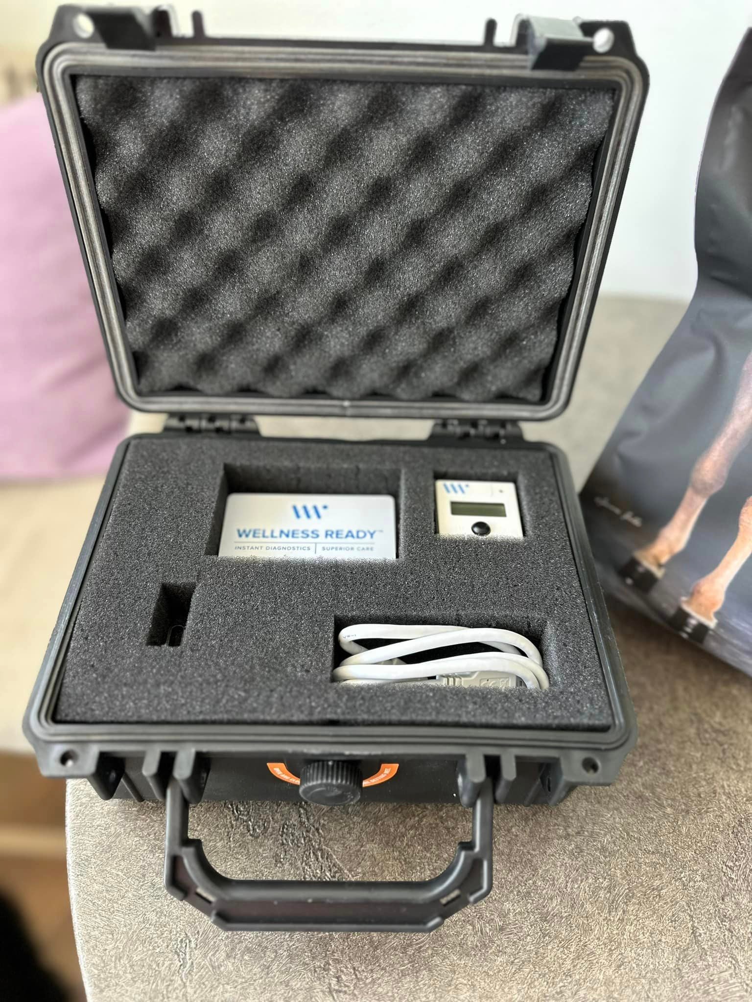Hard Shell Carry Case – Wellness Ready